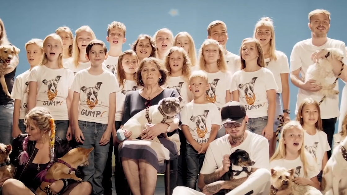 Protože to nevzdám | motivační song | Podle příběhu o pejskovi GUMP ...