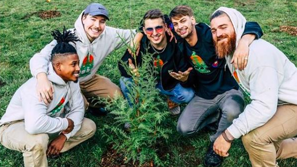 Youtuber with 20 million followers plants 20 million trees | Orseus.com